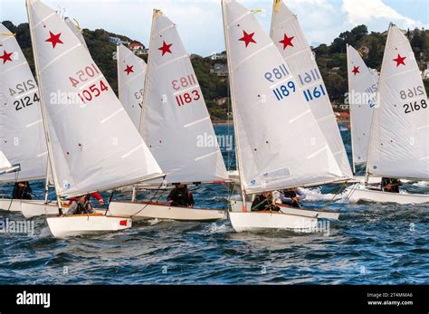 Starling Class Sailing Dinghywellington Harbour New Zealand Stock