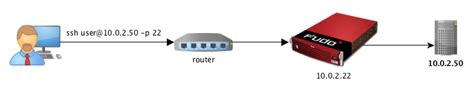 connection modes — fudo pam 4 0 system documentation