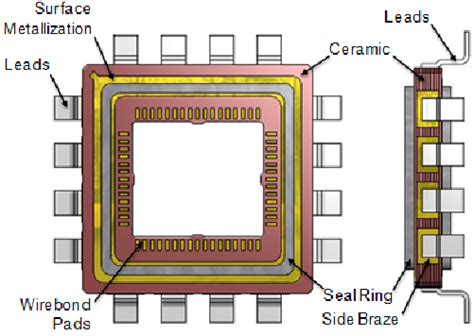 Layout Of The Analog Asic Download Scientific Diagram