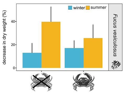 Decrease In Biomass Dry Weight Of Fucus Vesiculosus Over The Duration Download Scientific