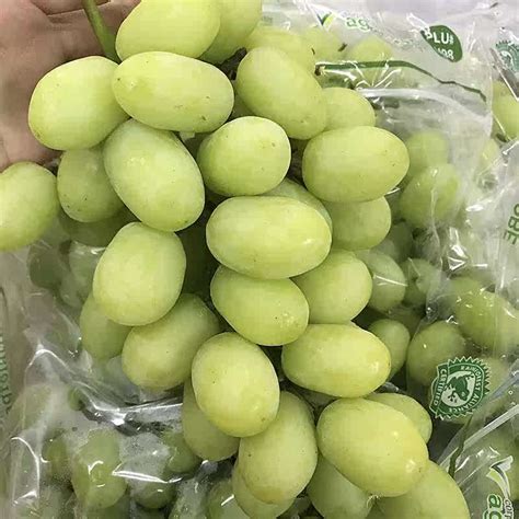 青提买多了可以做什么 大山谷图库