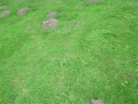 P7310134 Michel Grieve Flickr