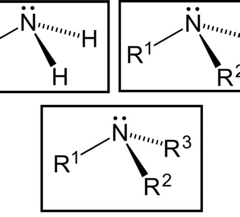 Difference Between Amine And Amide Definition Structure Properties