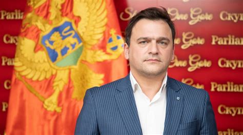 Dragović Novi Zakon O šumama Odlična Polazna Osnova Za Borbu Protiv Krađe šuma Gradski Portal