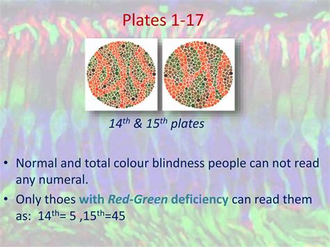 Color Vision Deficiency And Ishiharas Test Pdf