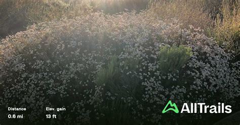 Nipomo Native Garden Loop 32 Reviews Map California Alltrails