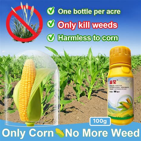 Herbicide For Corn 100ml Sweet Corn Herbicide Shopee Philippines