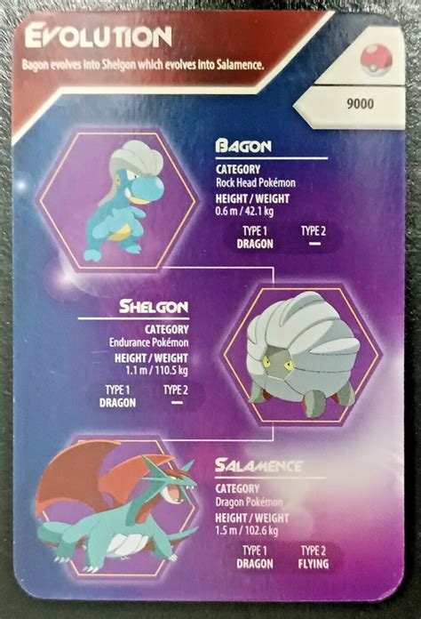 Bagon Evolution Bagon Shelgon And Salamence Evolution Pokémon Pin