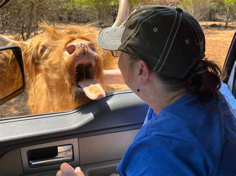 2025年2月rocky Ridge Drive Thru Safari景点攻略 Rocky Ridge Drive Thru Safari