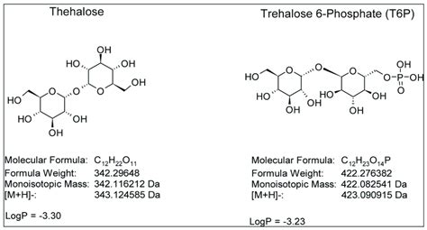 Structure And Properties Of Trehalose And Trehalose 6 Phosphate