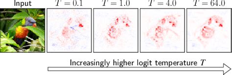 Convolutional Dynamic Alignment Networks For Interpretable Classifications