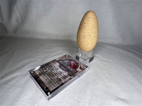 Jurassic Park Iii Dinosaur Egg Real Prop Replica Solid Resin
