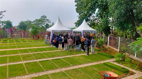 Pelayanan Fmp Untuk Wakif Yang Wafat Sinergi Foundation