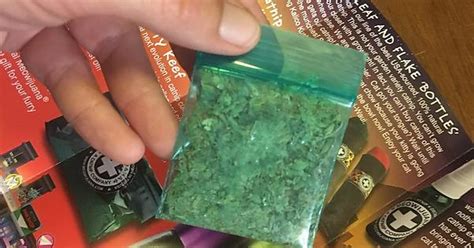 Signed Up For A Free Catnip Sample I Think My Cats Are About To Get Really Messed Up Album On