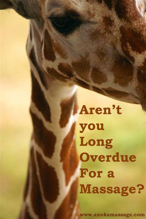 Pin On Funny Massage