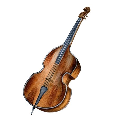 Premium Photo Contrabass Classical Musical Instrument Watercolor