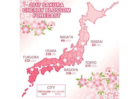 Cherry Blossom Japan, Cherry Blossom Season, Cherry Blossoms, Beginning Of Spring, Japan Travel ...