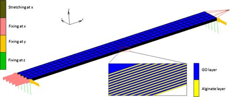 Finite Element Model Of Intercalated Structure With Boundary Conditions