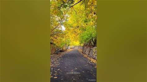 واتای پایز و مردن و ژیان Youtube