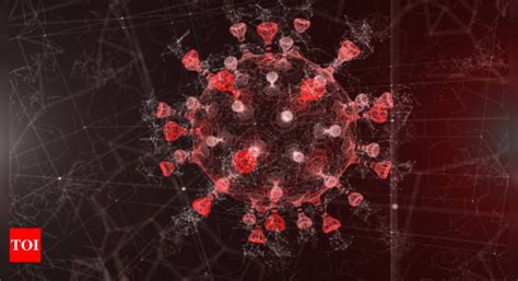 Oraquick Hcv Self Test Who Prequalifies Oraquick Hcv The First Self