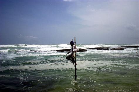 Rohitha Munasinghe The Author