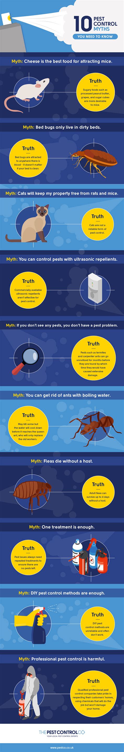 Pest Control Myths Infographic Mighty Infographics