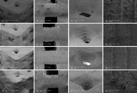 Sem Micrographs Of The Four Scaffold Materials Rows Top To Bottom Ha Download Scientific