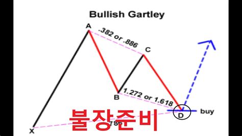 비트코인 48k 폭락공포 알트코인 불장시즌 임박 시그널 지금 흔들리지 마세요 Youtube