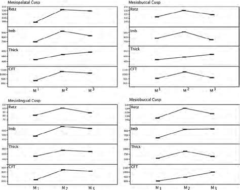 Chimpanzee Molar Cusp Pattern At Hudson Hawker Blog