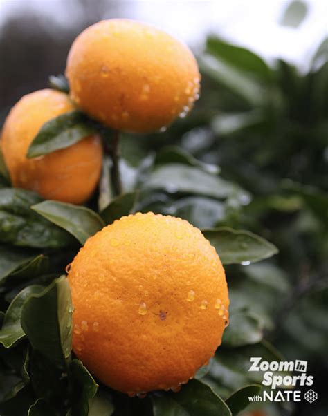 강명호ㅣ청순한 G걸 황다혜다재다능 매력녀 디스패치 뉴스는 팩트다