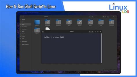 How To Run A Sh Shell Script In Linux For Beginners Rlinuxtldr