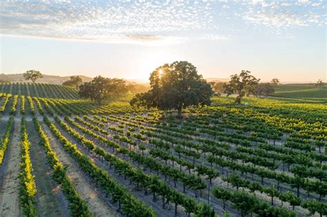 Guide Real Estate Opens Office In Paso Robles California — Rismedia