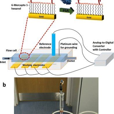 Schematic Of The Basic Design Of A Single Channel OCP Measurement Download Scientific Diagram