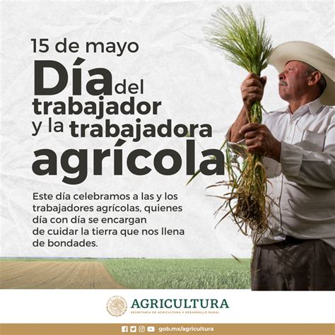 Día Del Trabajador Y La Trabajadora Agrícola Celebrando A Nuestros