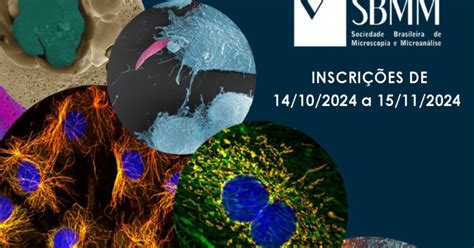 Ii Concurso De Imagem Da Sbmm Sbmm