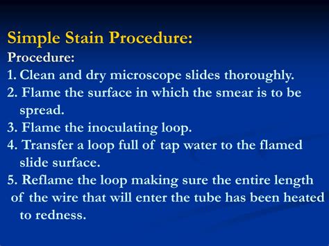 Ppt Simple Stain Procedure For Bacterial Identification Powerpoint