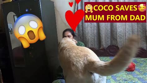 Dad Attacks Mum Coco Gets Furious And Retaliates Watch The Full