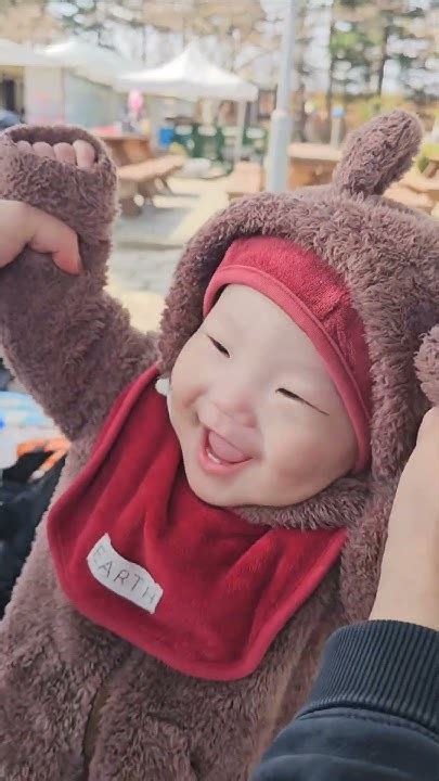 사자 귀여운사자한마리 나의귀여움은아빠 닮은것 Youtube