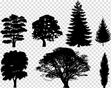 Trees On Clipart Library Tree Silhouette Pine And Tree Tattoos