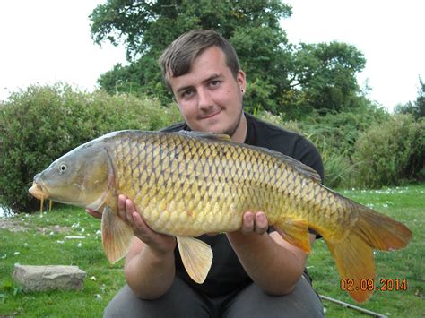 Lake 2 Court Farm Tillington Carpworld™