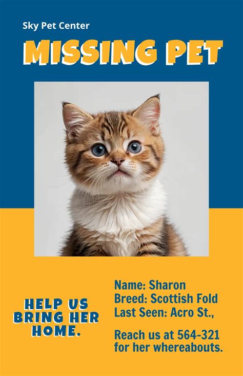 Free Missing Cat Poster Template To Edit Online