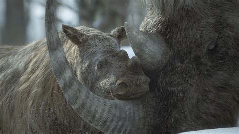 Prehistoric Planet Ice Age Apple Tv Press Uk