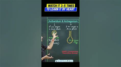 Plant Sex Organs Antheridium And Archegonium Quickshot Biology Neetpreparation Ncert