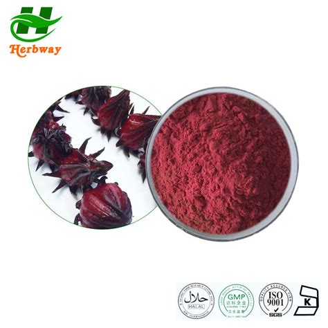 Herbway Free Sample Organic Food Ingredient Anthocyanidins Hibiscus Sabdariffa Extract China