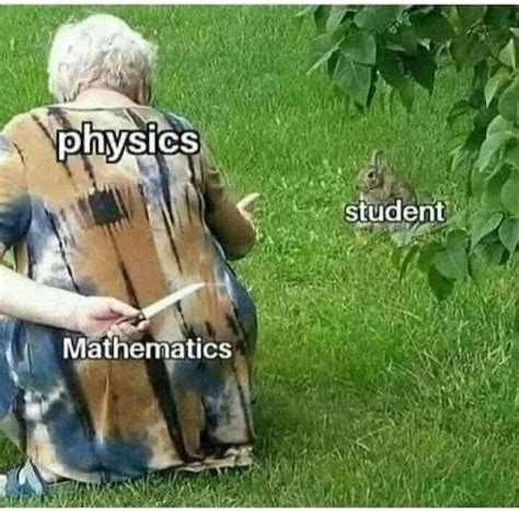 Frankly Were Not Sure We Fully Understand These Math Memes