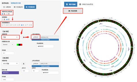 如何绘制基因组类型circos图? Omicstudio 知乎 如何绘制基因组类型circos图? Omicstudio 知乎
