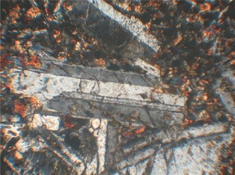 Photomicrograph Showing Subophitic Texture Of Basalt Sample Pyroxene