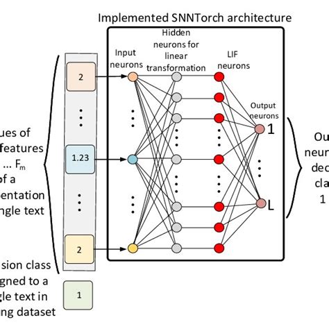 The Snn Architecture That Was Constructed Using Snntorch Package For