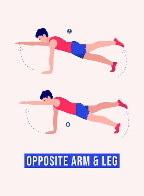 Ejercicio De Brazos Y Piernas Opuestos Entrenamiento De Hombres Fitness Aeróbico Y Ejercicios
