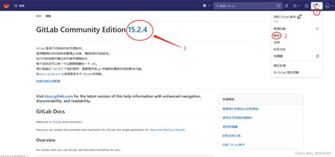 Gitlab升级 Csdn博客